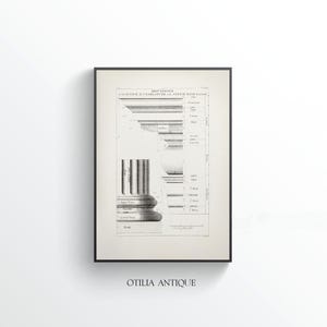 PRINTED AND SHIPPED Ionic Molding Art, Ancient Greece Poster, Gift for ...