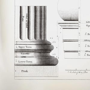 PRINTED AND SHIPPED Ionic Molding Art, Ancient Greece Poster, Gift for ...