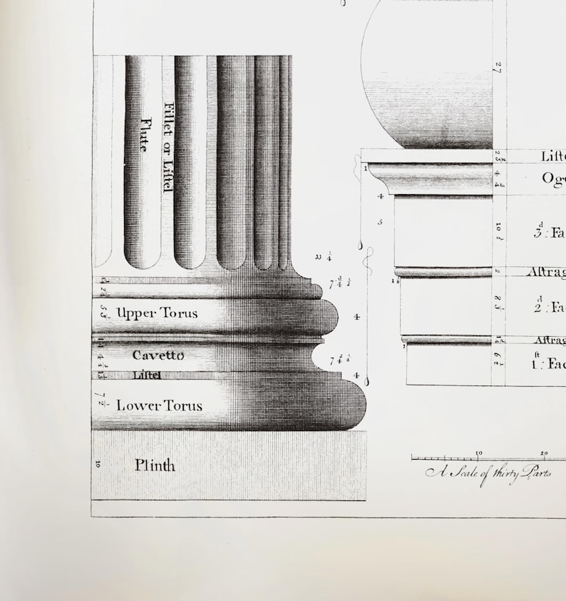 PRINTED AND SHIPPED Ionic Molding Art, Ancient Greece Poster, Gift for ...