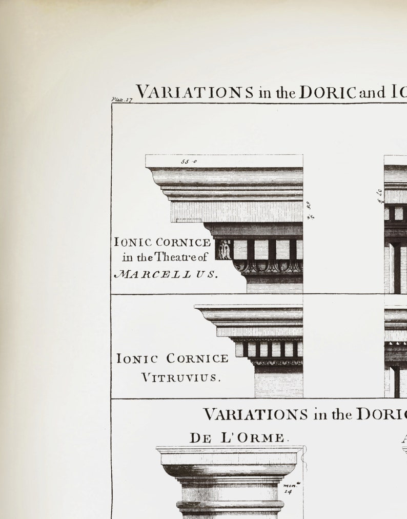 Greek Architecture Blueprint Poster, Doric Capital Technical Drawing ...