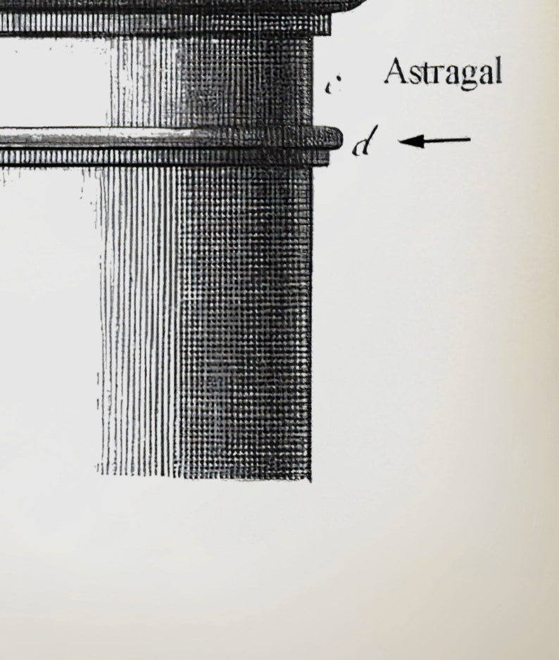 Architectural Molding Art Print, Ionic Order Poster PRINTABLE ...