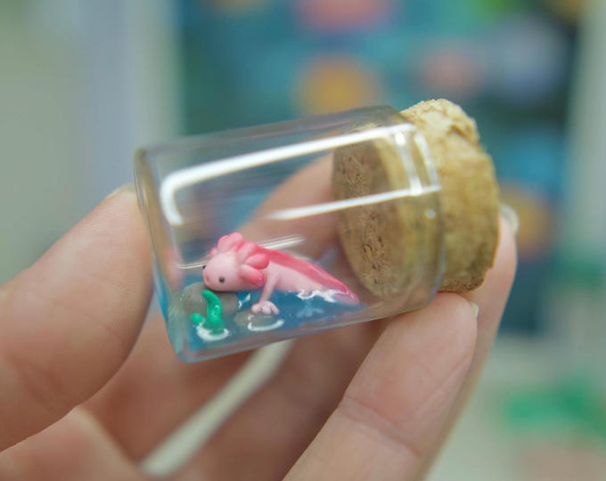 Axolotl in a Bottle ~ Handmade ~ Polymer Clay Art - Etsy