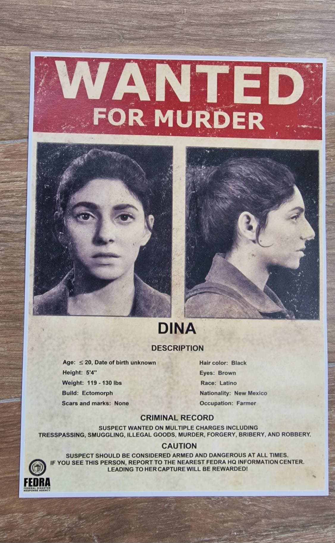 Dina Wanted by Fedra Poster the Last of Us - Etsy Australia