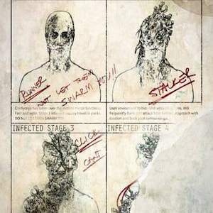 Stages of Infection by Fedra the Last of Us Game and Series - Etsy UK