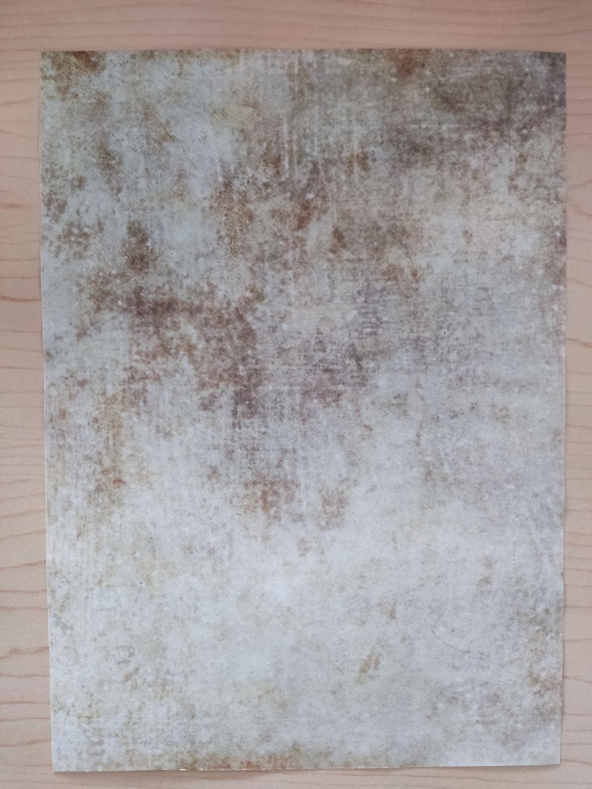 Stages of Infection by Fedra | the Last of Us Game and Series - Etsy Canada