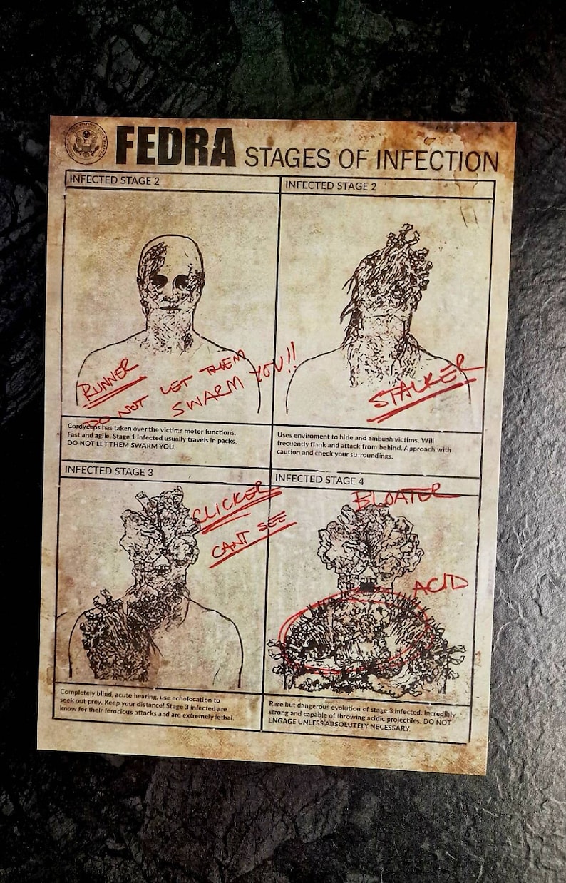 Etapas de infección por Fedra / The Last of us juego y serie - Etsy México