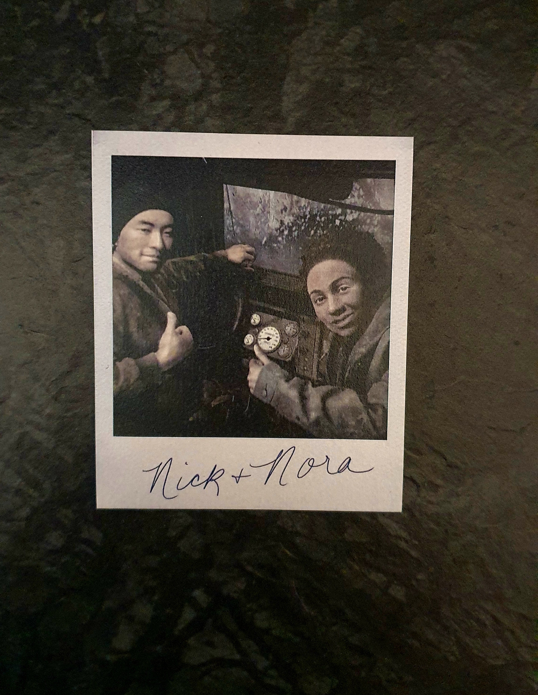 Wolves 5 Polaroid Photos the Last of Us Part II - Etsy