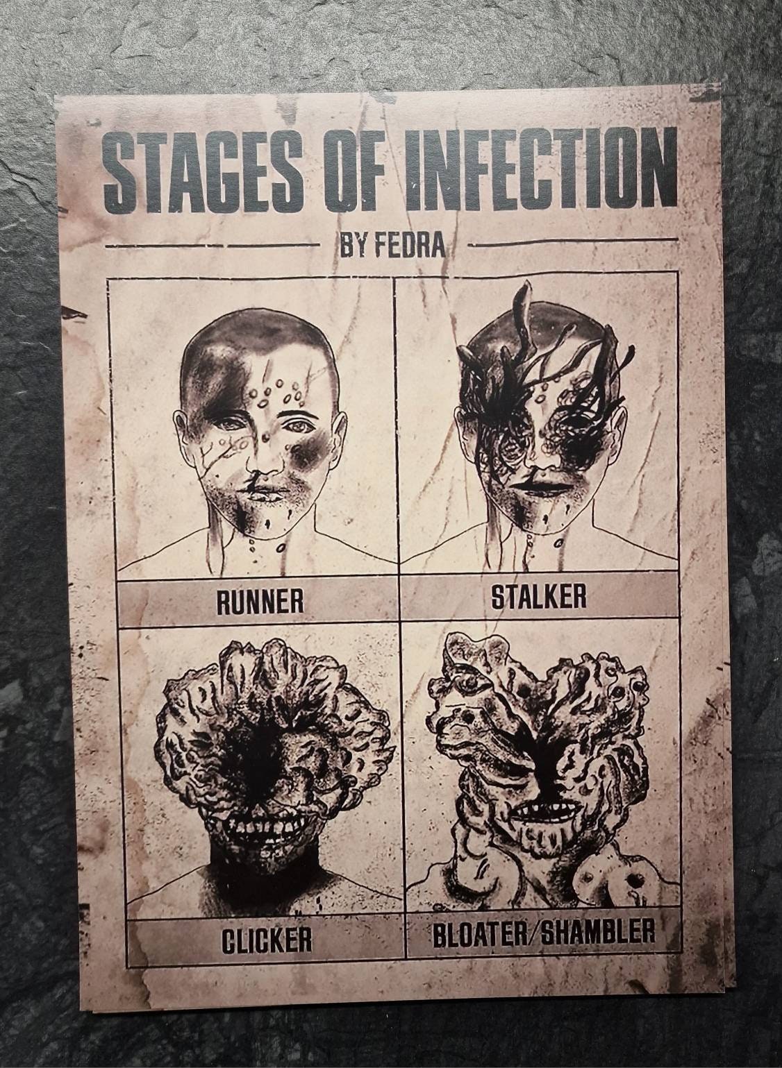 Stages of Infection by Fedra the Last of Us Game and Series - Etsy Ireland
