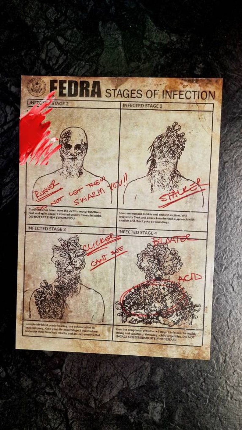 Stages of Infection by Fedra the Last of Us Game and Series - Etsy Canada