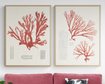 Red Coral Prints | Etsy