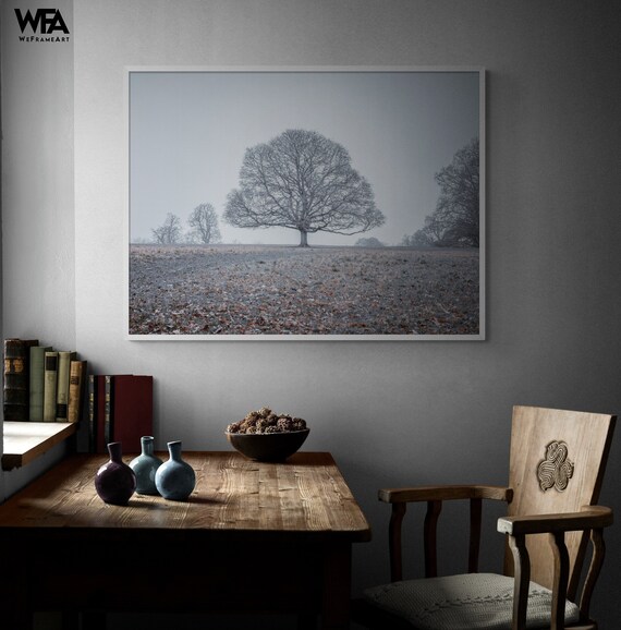 Framed Tree Photography Print Cold Tone Landscape Wall Decor | Etsy