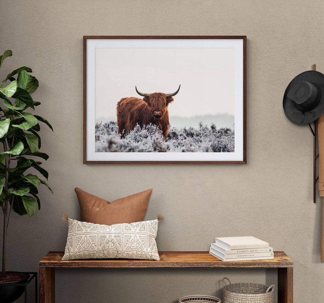 Rustic Highland Cow Photo Oversized Wall Art, Cattle Farmlife Cow Photo ...