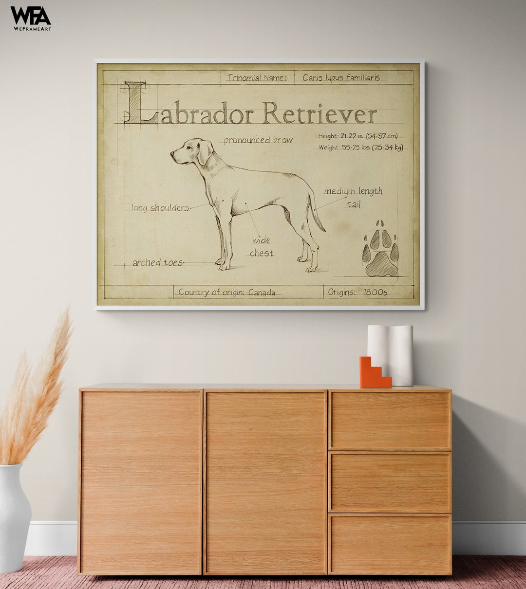 Labrador Retriever Poster Print, Framed Doggo Wall Art, Large Doggo ...