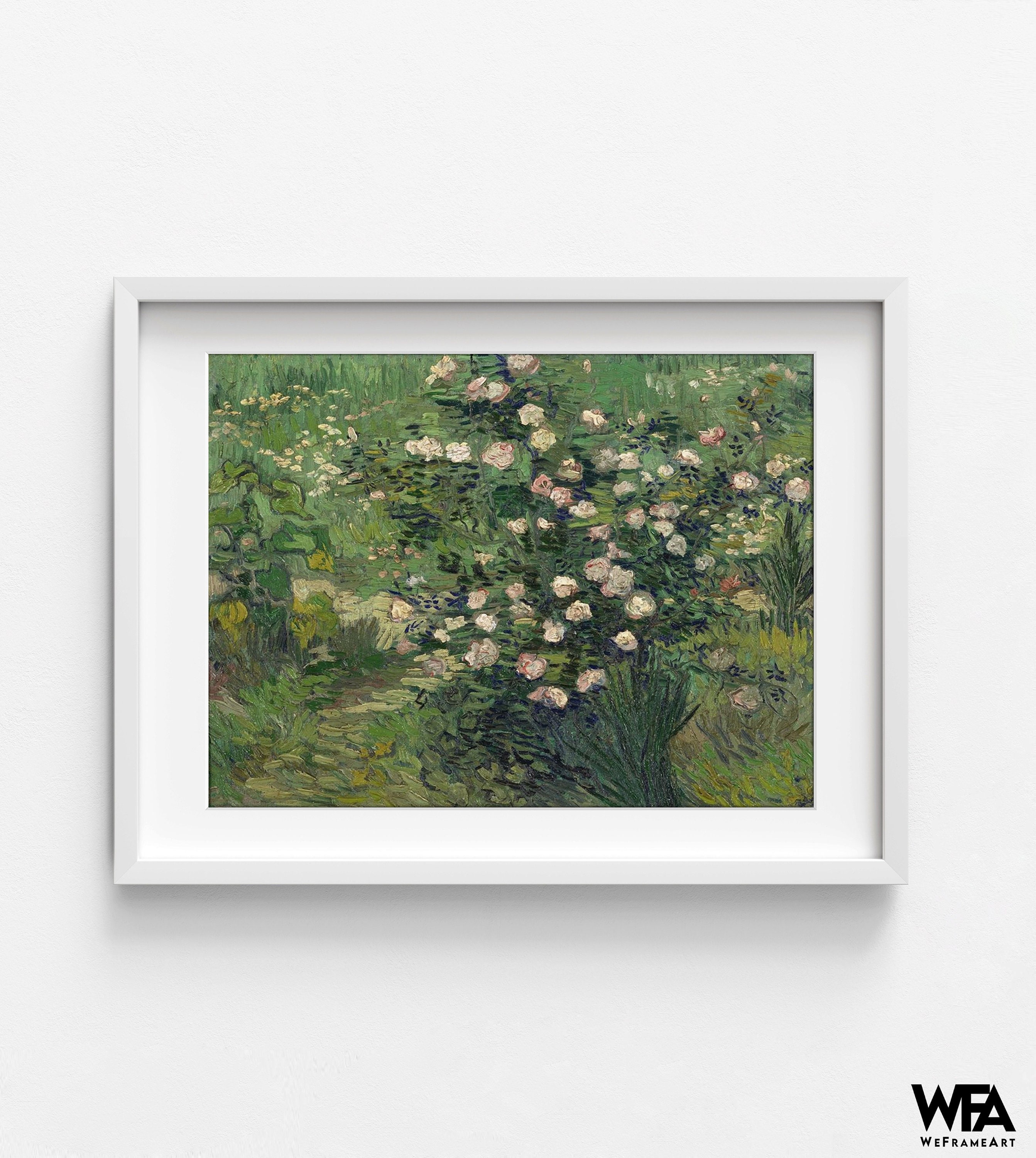 White Roses Van Gogh Worth
