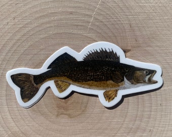 Vinyl Walleye Decals - Etsy
