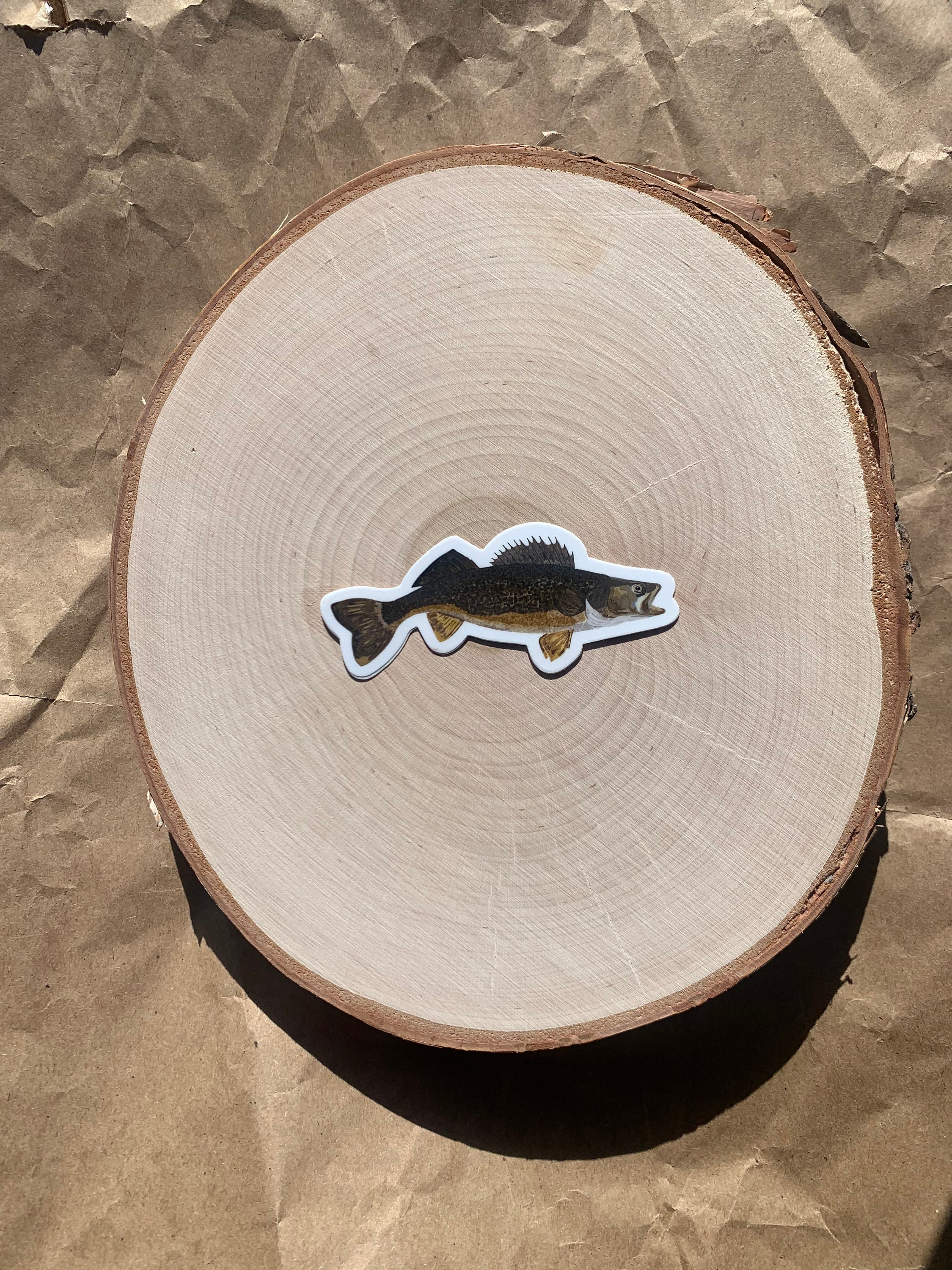 Walleye Vinyl Sticker - Etsy