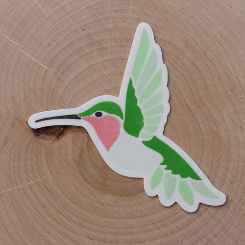 Watercolor Ruby Throated Hummingbird Vinyl Decal for Car - Etsy