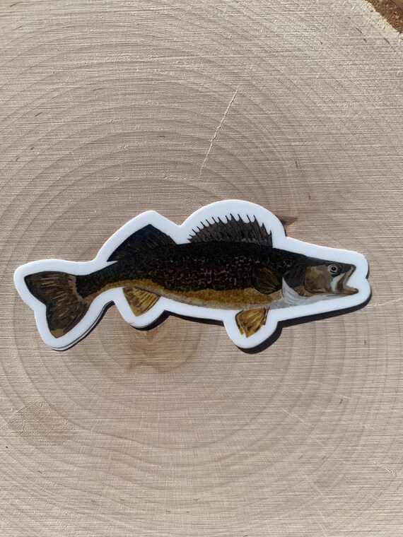 Walleye Vinyl Sticker - Etsy