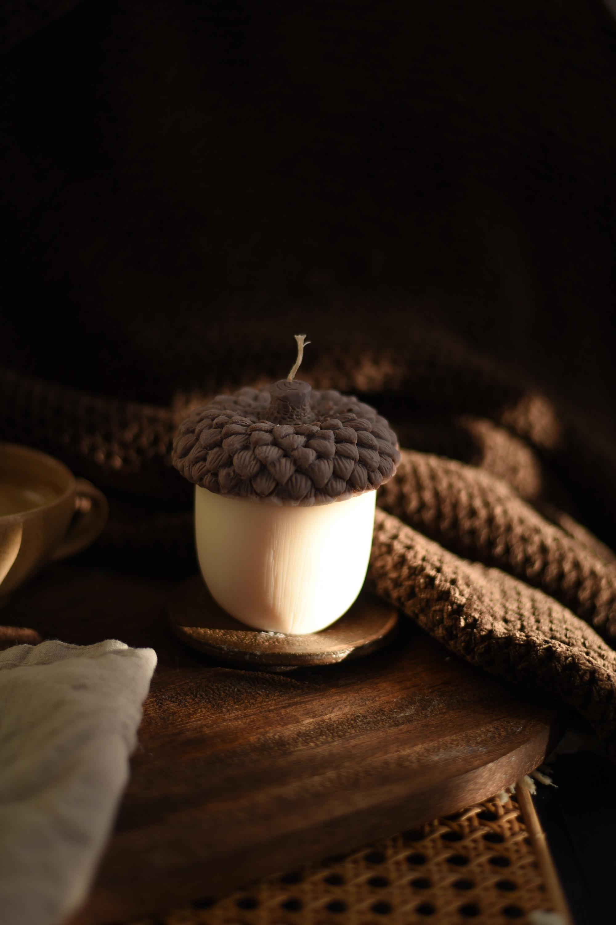 ACORN Candle - Autumn Decor | Pine Cone Candle | Fall Home Decor ...