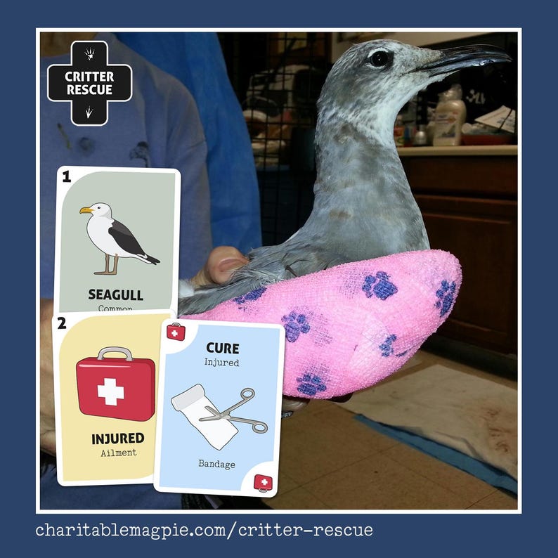 Card Game for Animal Lovers: Critter Rescue - Family Friendly - Support ...