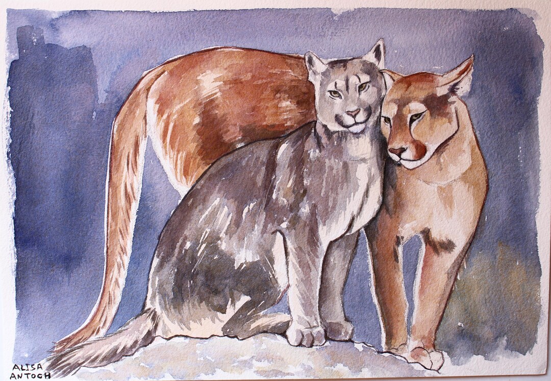 Original Watercolor Painting of Two Pumas, Hand-painted Wildlife Art ...