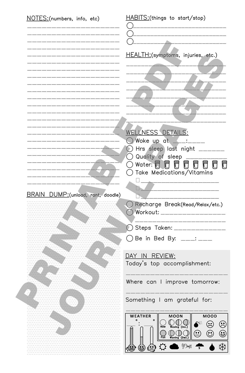 Day Planner - 2 Pages per Day - Daily Journal (daily Planner ...