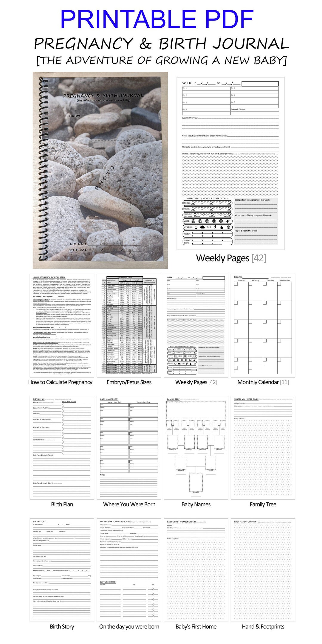 PDF Pregnancy & Birth Journal - Space for Notes, Weekly Observations ...