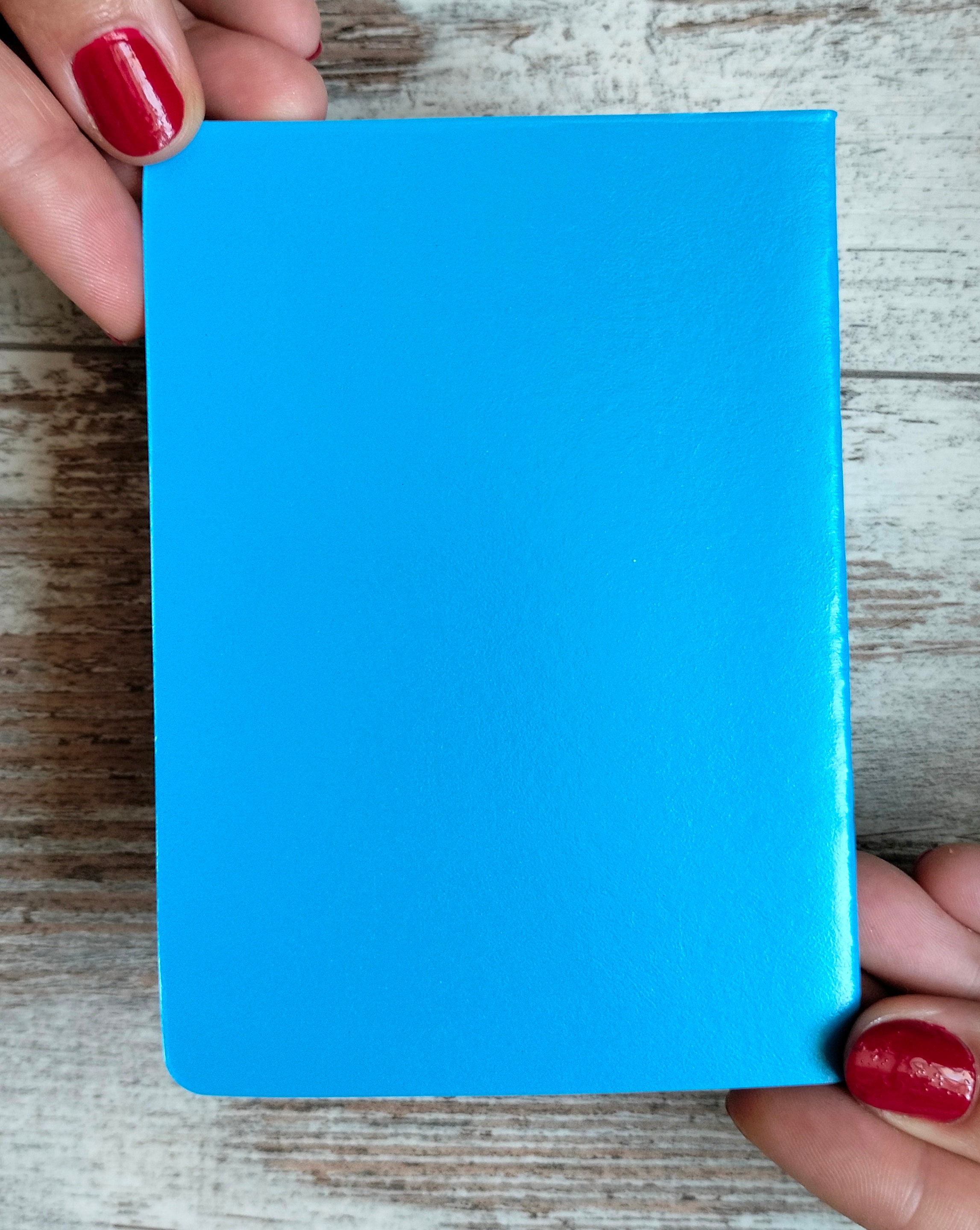 World Passport United Nations Passport Prop Original Size Diplomatic Passport Notebook For