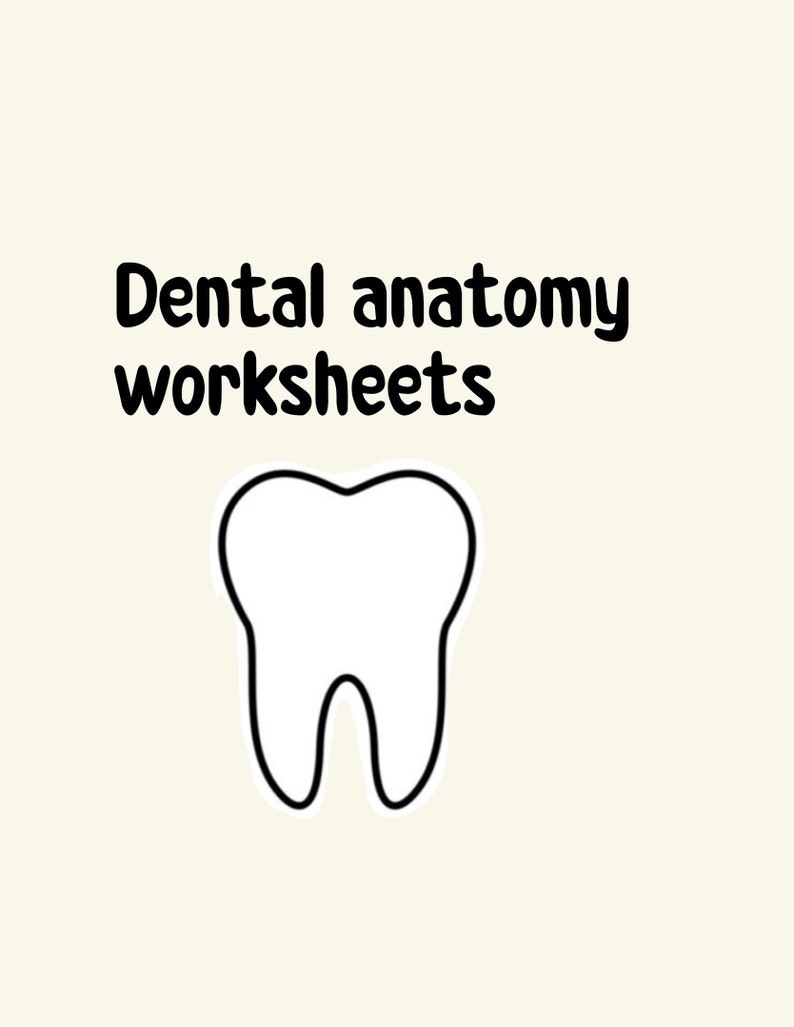 Dental Anatomy Worksheets - Etsy