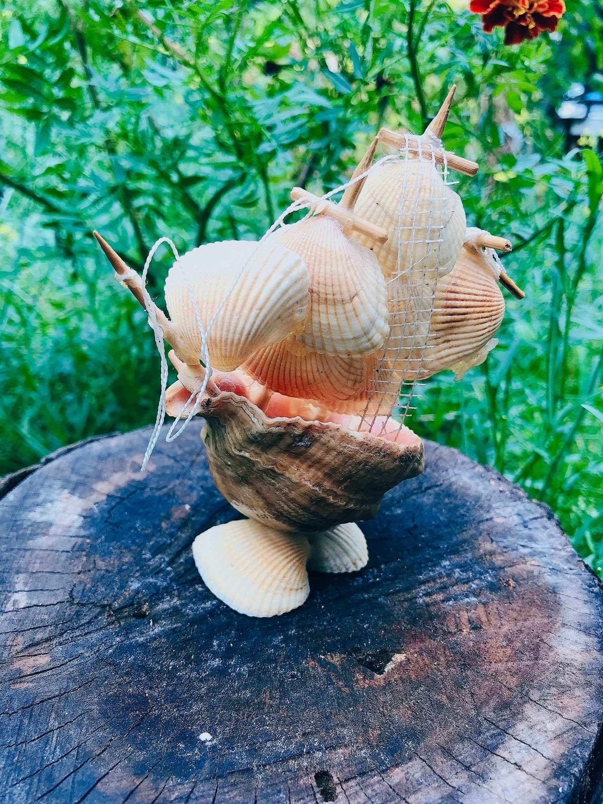 Shell Ship Sailing Ship of the USSR. Sea Shell. Collection - Etsy