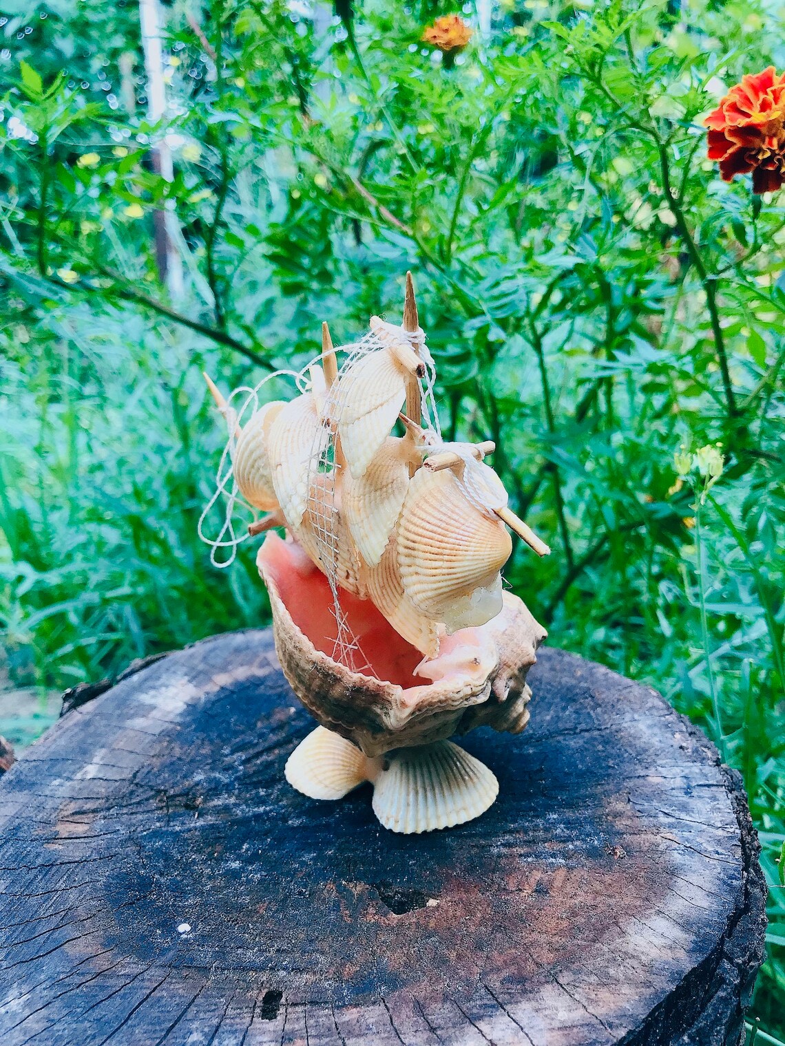 Shell Ship Sailing Ship of the USSR. Sea Shell. Collection - Etsy