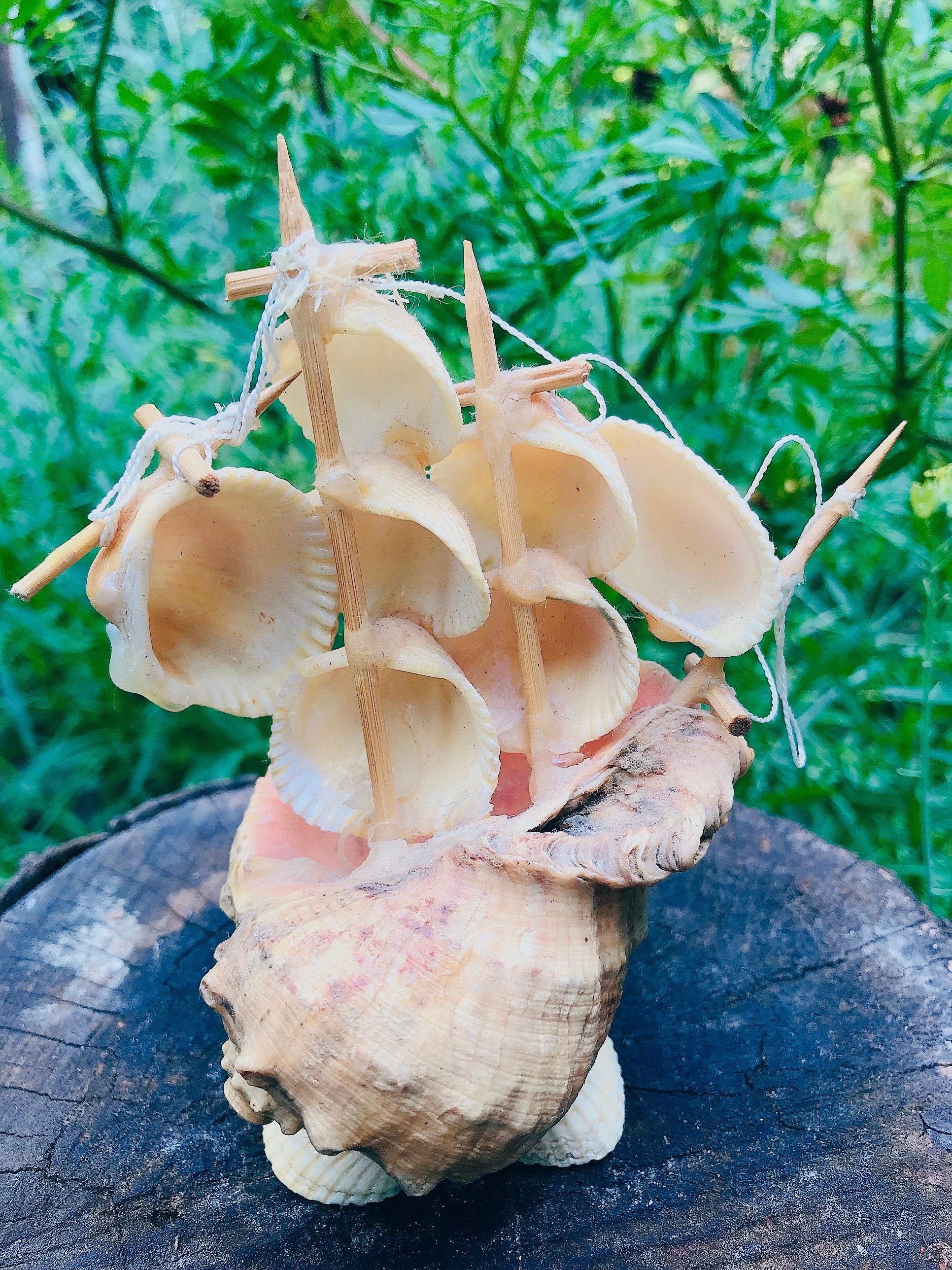 Shell Ship Sailing Ship of the USSR. Sea Shell. Collection - Etsy