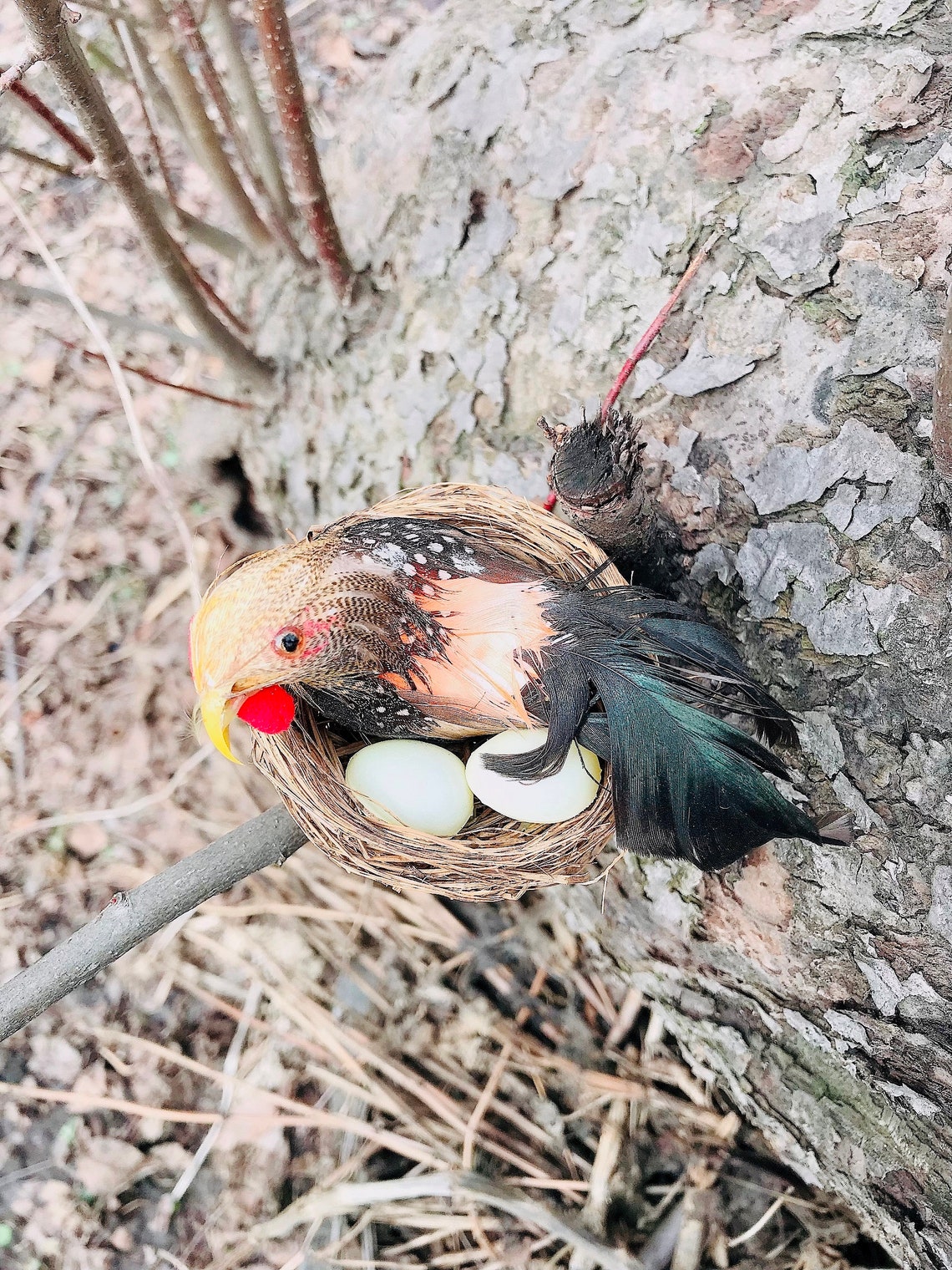 Handmade From Natural Materials. Bird With Eggs USSR Vintage - Etsy