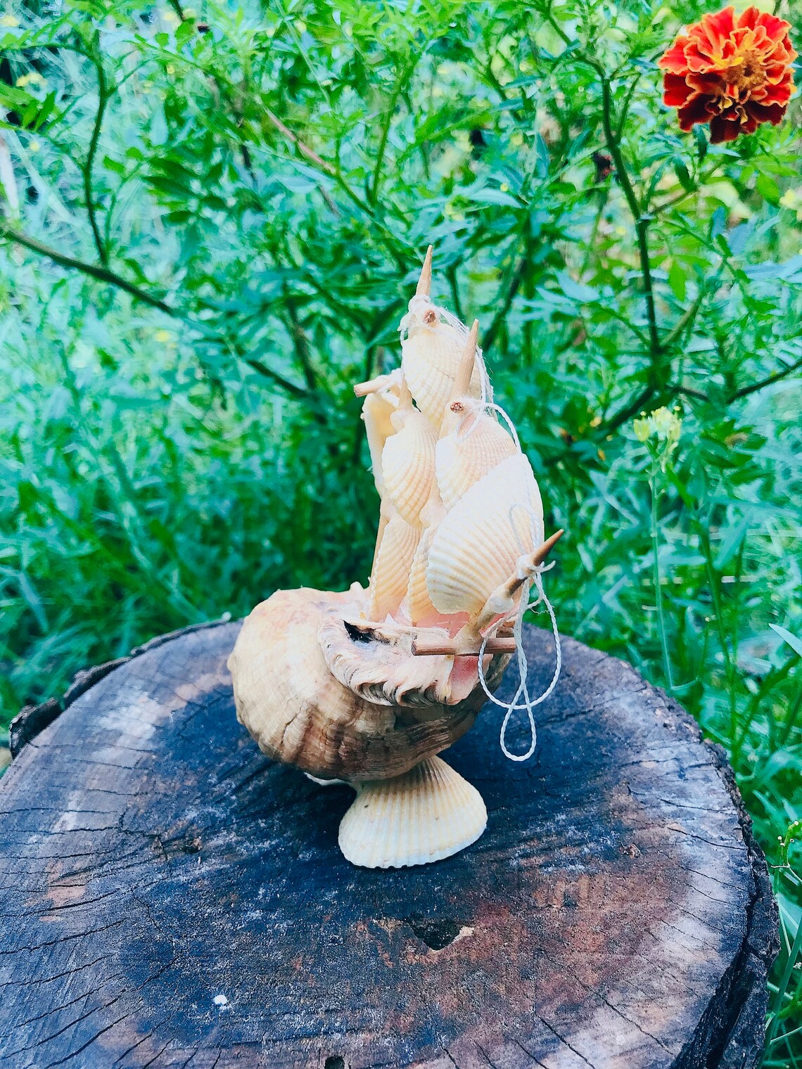 Shell Ship Sailing Ship of the USSR. Sea Shell. Collection - Etsy