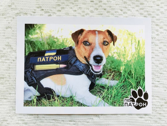 Leaflet With an Image of sapper Dog Minesweeping - Etsy Israel