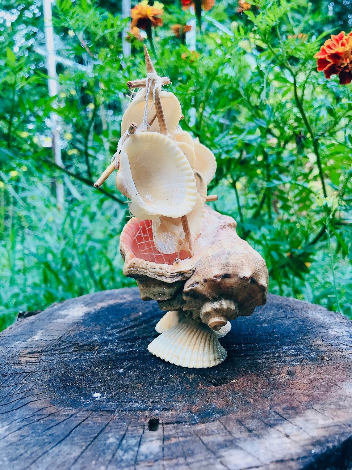 Shell Ship Sailing Ship of the USSR. Sea Shell. Collection - Etsy