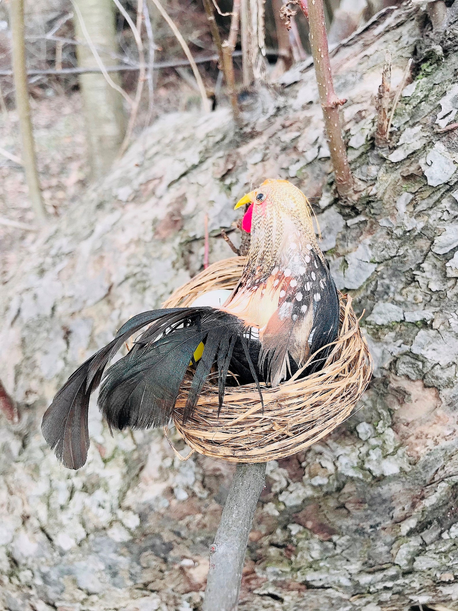Handmade From Natural Materials. Bird With Eggs USSR Vintage - Etsy
