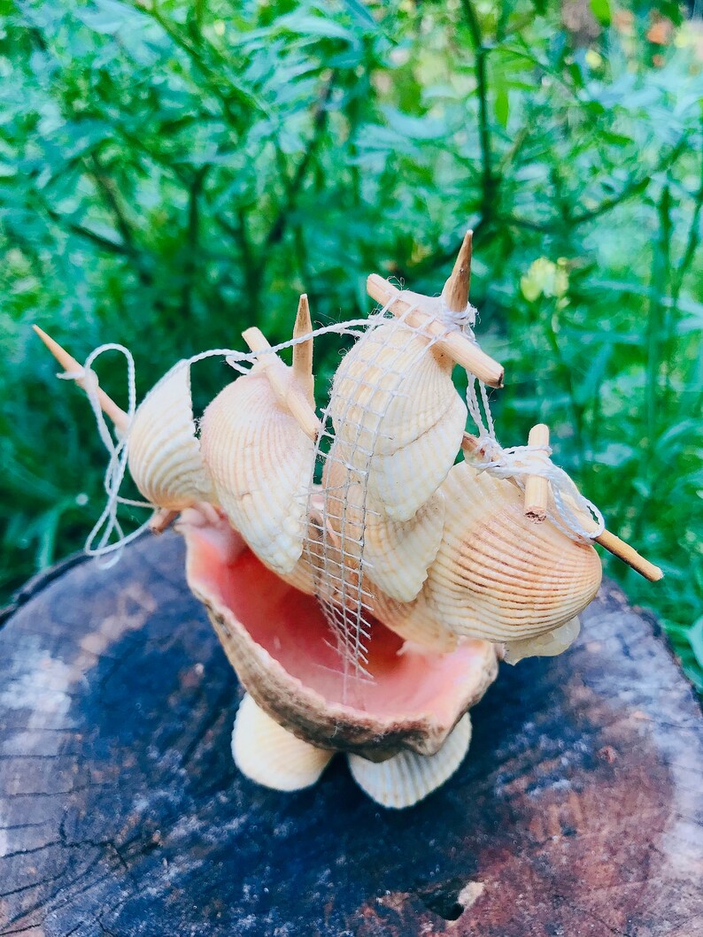 Shell Ship Sailing Ship of the USSR. Sea Shell. Collection - Etsy