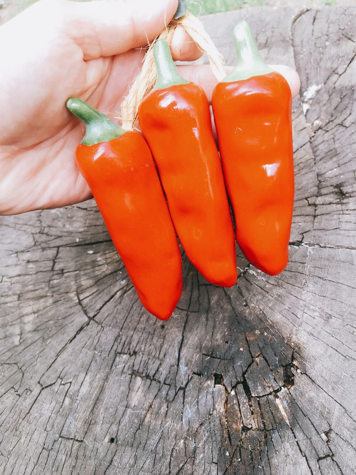 Chilli Peppers Sculpture, Modern Ceramic Chilli Peppers in Red and ...