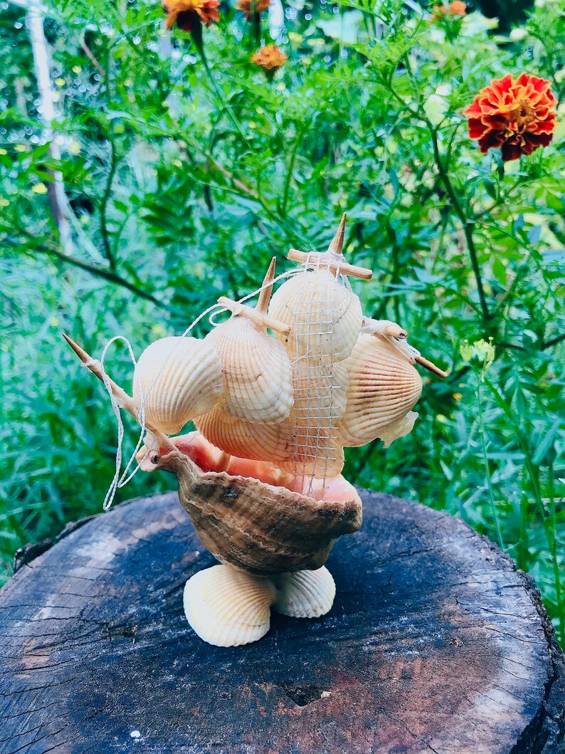 Shell Ship Sailing Ship of the USSR. Sea Shell. Collection - Etsy