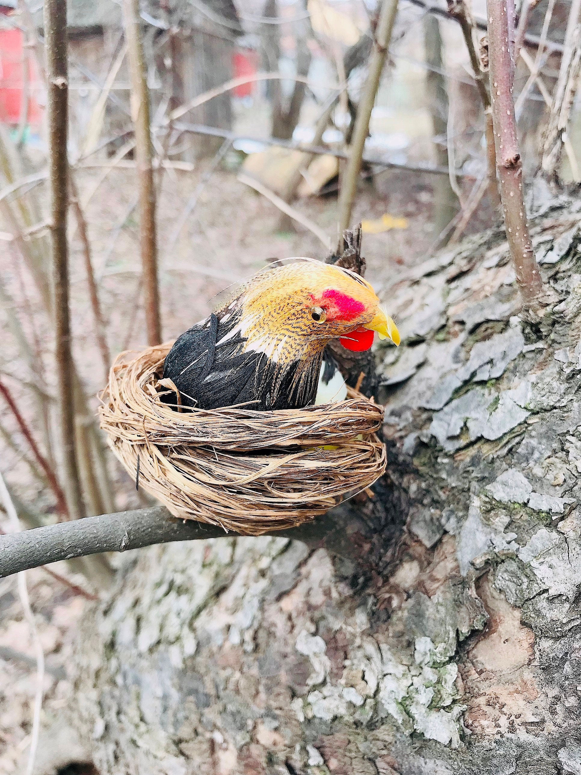 Handmade From Natural Materials. Bird With Eggs USSR Vintage - Etsy