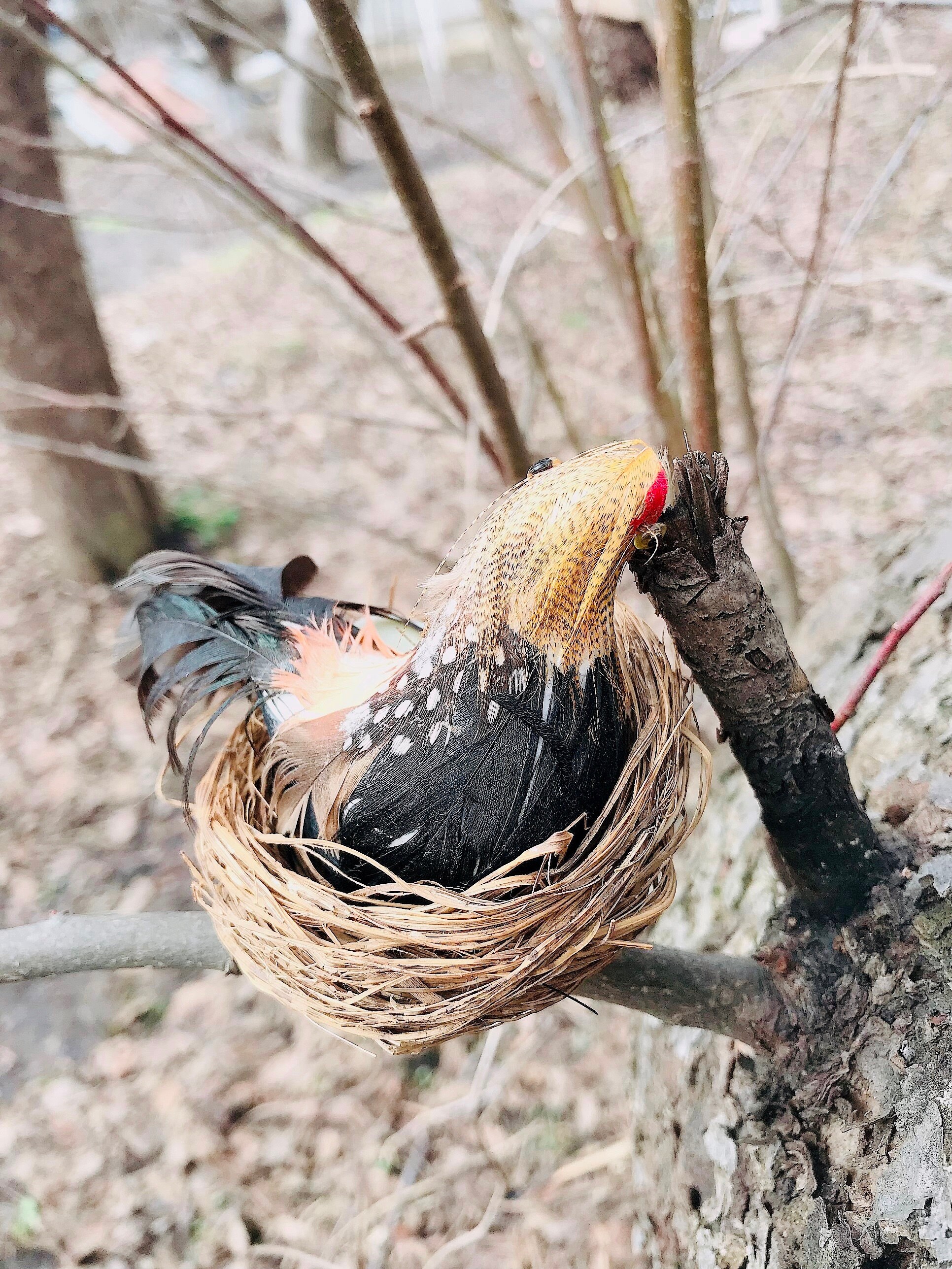 Handmade From Natural Materials. Bird With Eggs USSR Vintage - Etsy