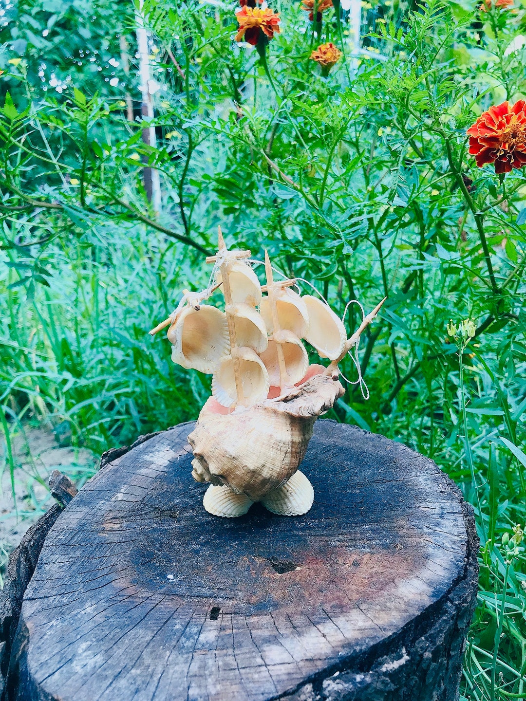 Shell Ship Sailing Ship of the USSR. Sea Shell. Collection Sculptures ...