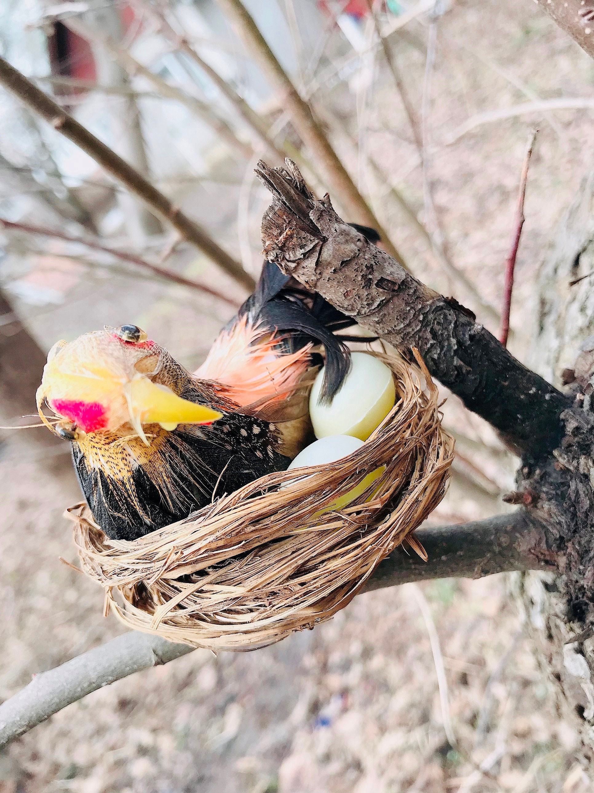 Handmade From Natural Materials. Bird With Eggs USSR Vintage - Etsy