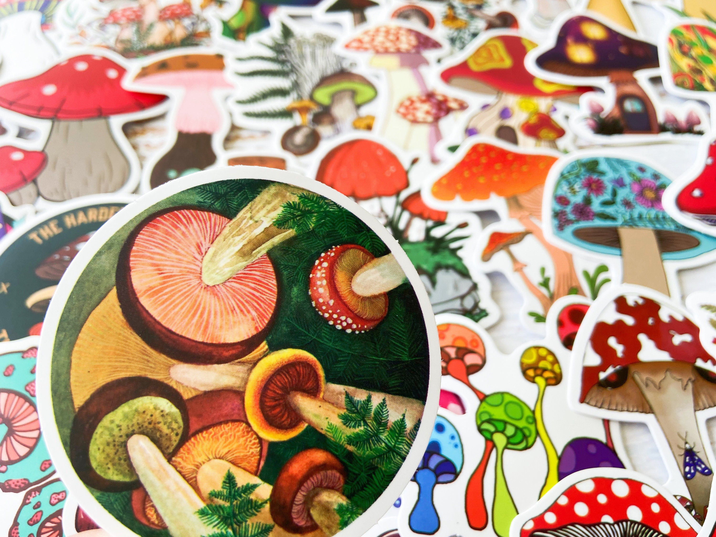 Cute Mushroom Sticker Pack Perfect for Laptop Phone Junk | Etsy