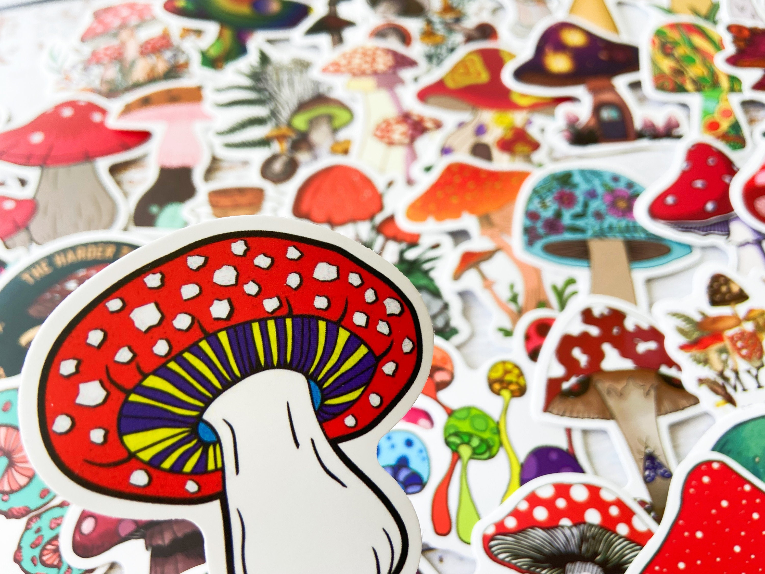 Cute Mushroom Sticker Pack Perfect for Laptop Phone Junk | Etsy