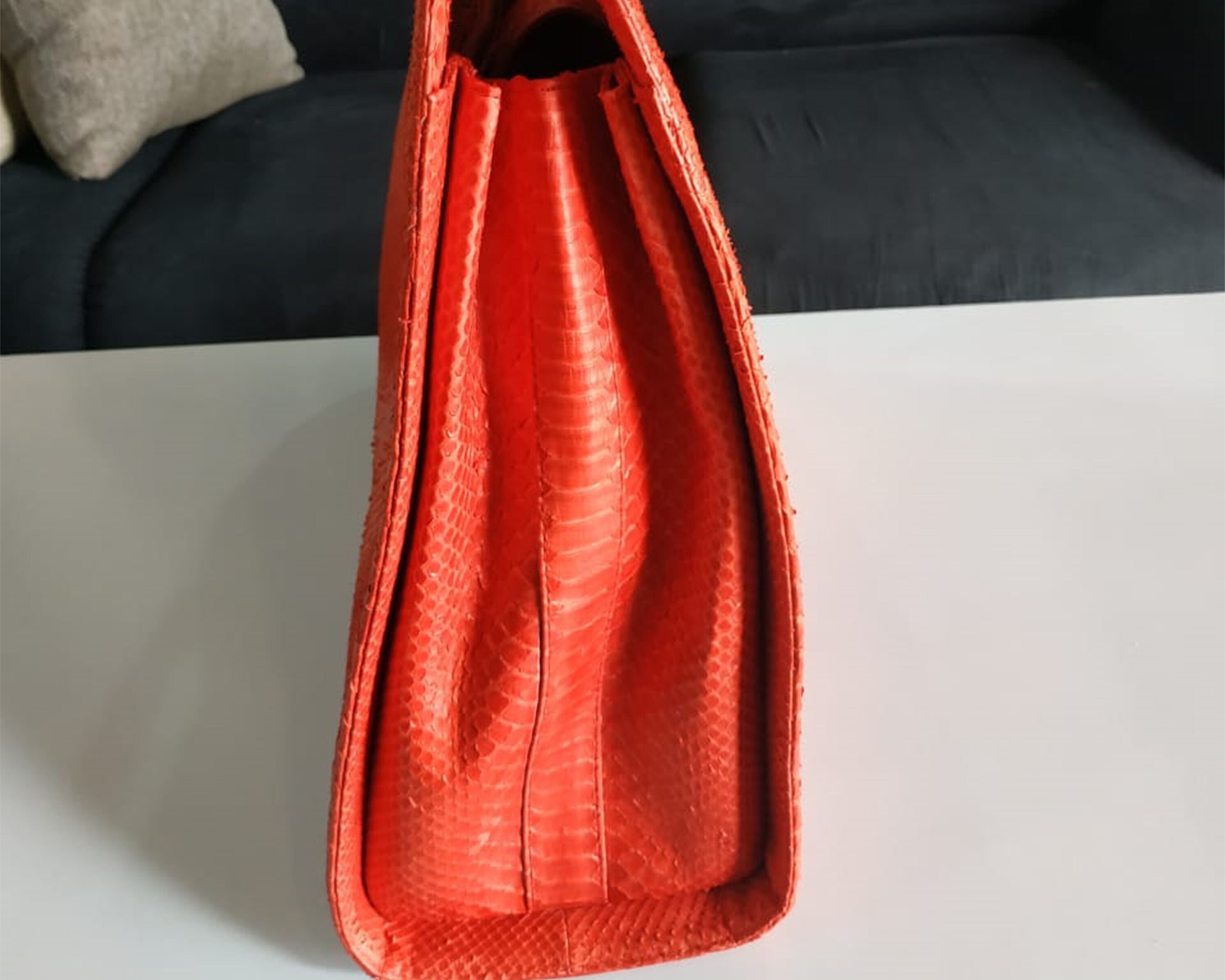 Red Tote Python Snakeskin Women Bag With Natural Lizard Skin Trim Plus ...