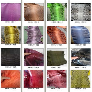 Genuine Snakeskin Sneakers Shoes - Etsy