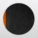 Hand Tufted Cat Skin Wool Carpet for Home Decorative Living Room ...