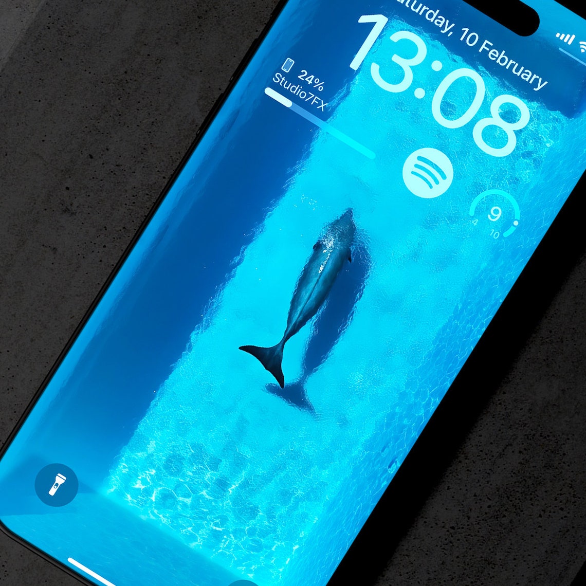Dolphin in Your iPhone Wallpaper Mobile Phone Wallpaper Ios Lockscreen ...